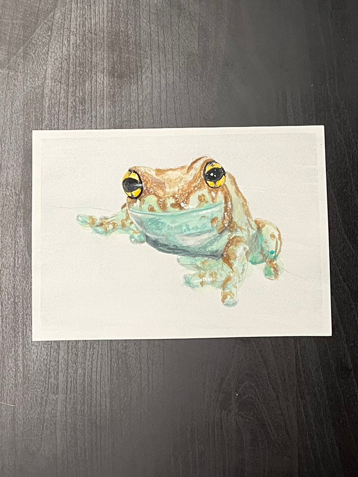 Mint Frog – Dudlik